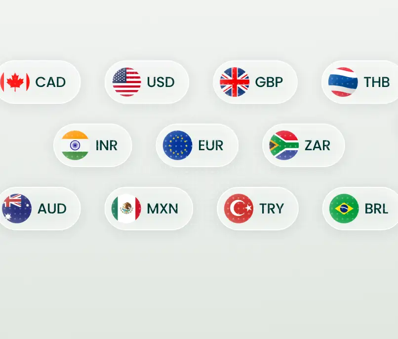 Simplify Payment Clearing Settlement | Pine Labs